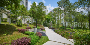 Living Near Green Spaces May Boost Cognitive Health - Andromenopause