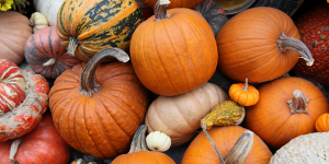 8 Reasons to Include Pumpkin in Your Diet as You Age - Andromenopause
